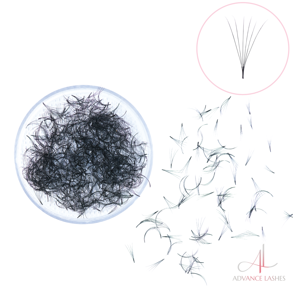 Pre-made Volume Eyelash – 6D | Advance Lashes